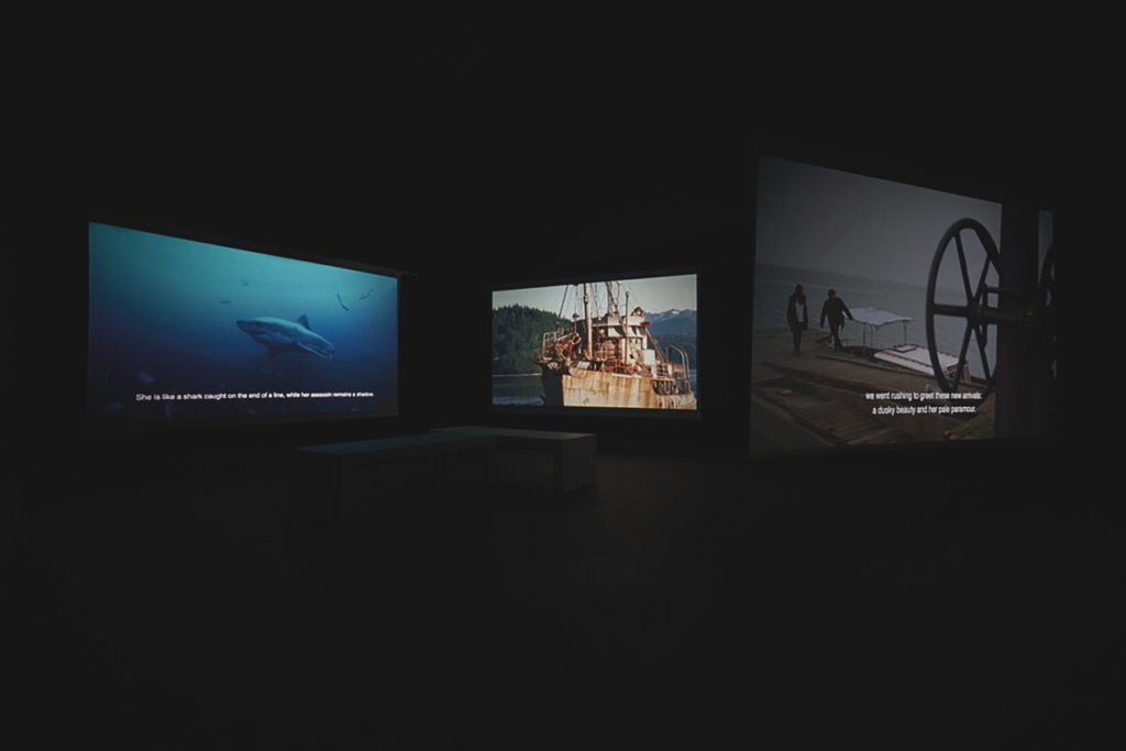 Preview: Leviathan and The Ark - Big Issue North